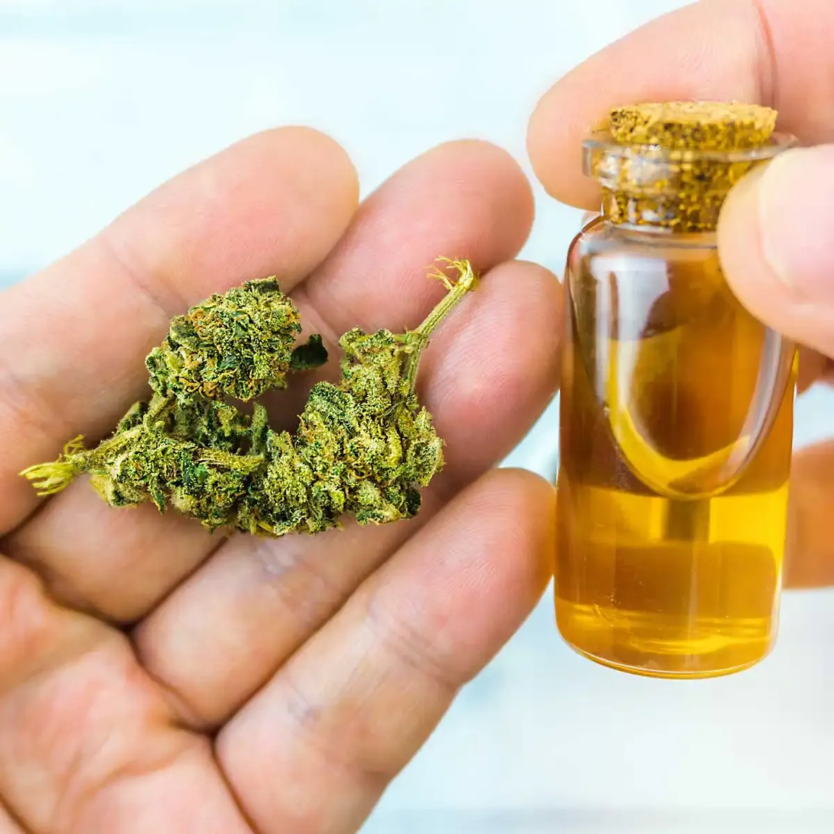 Medicinal cannabis products - Alcohol and Drug Foundation